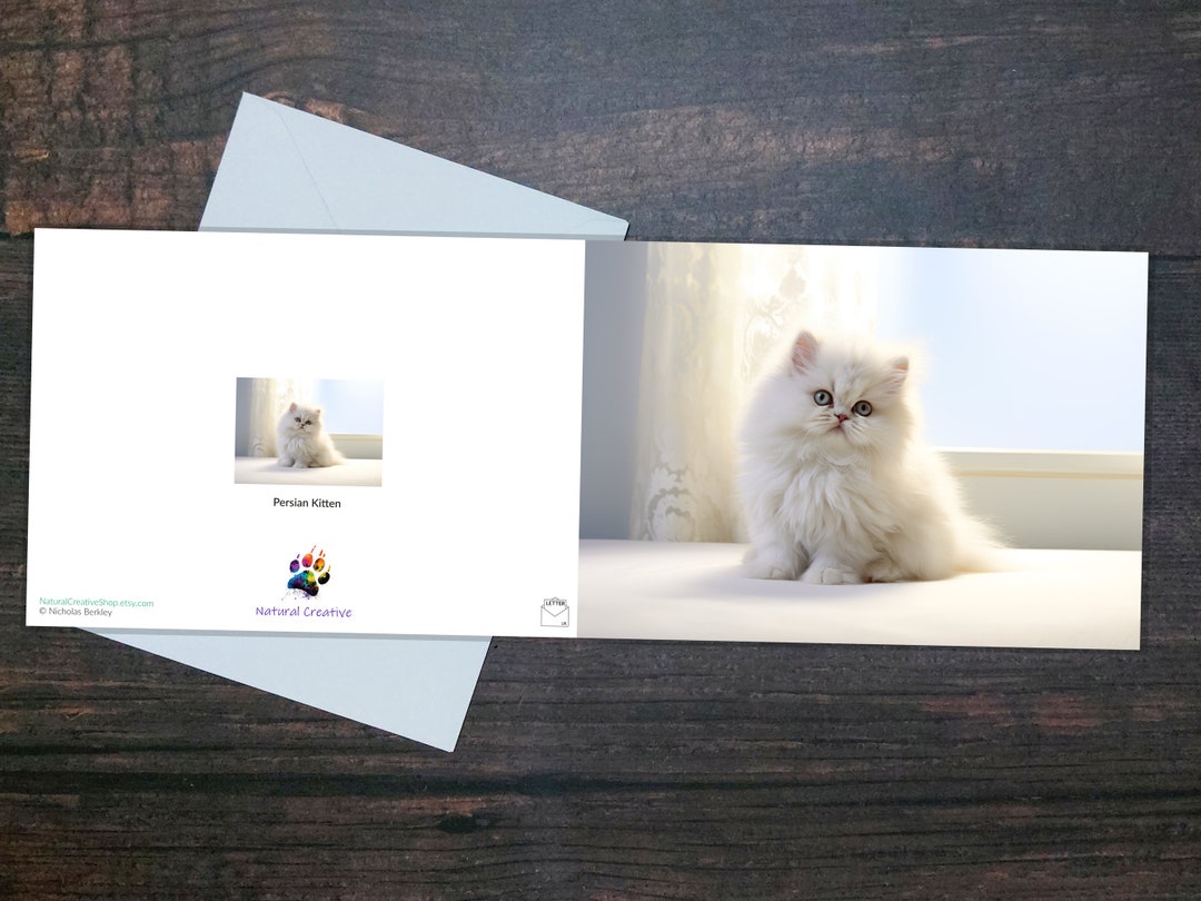 PERSIAN KITTEN CARD, Pet Greeting Card, Blank Inside Card, Feline Gift ...