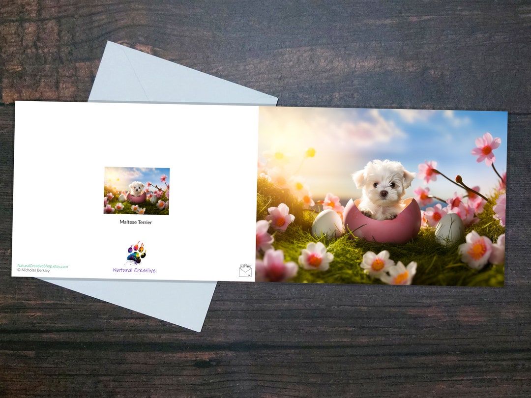 CUTE MALTESE EASTER Card, Blank Greeting Card, Puppy in Easter Egg ...
