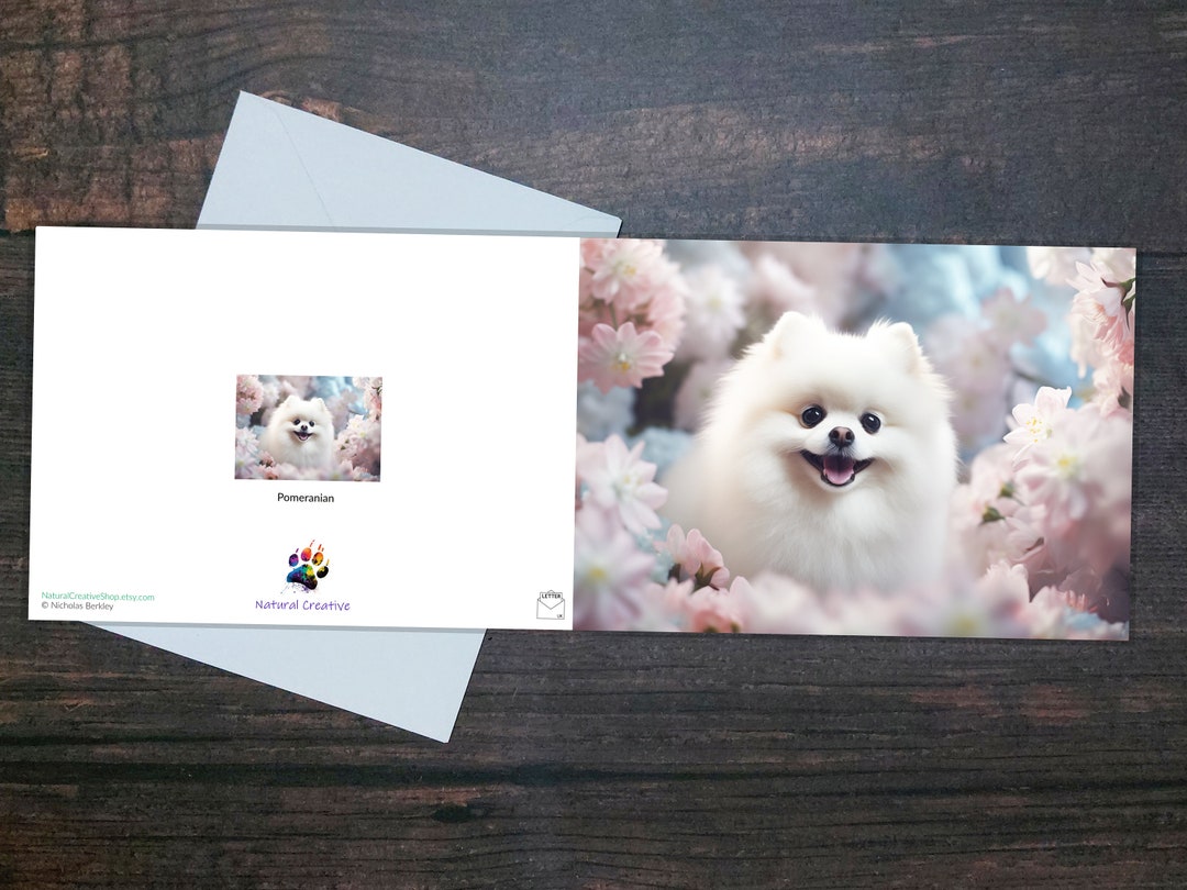 WHITE POMERANIAN CARD, Cute Dog Greeting Card, Pet Card, Blank Card ...