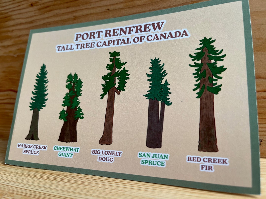 Port Renfrew - Tall Tree Capital of Canada - Post Card / Art Print (4"x6") Keepsake/souvenir ...