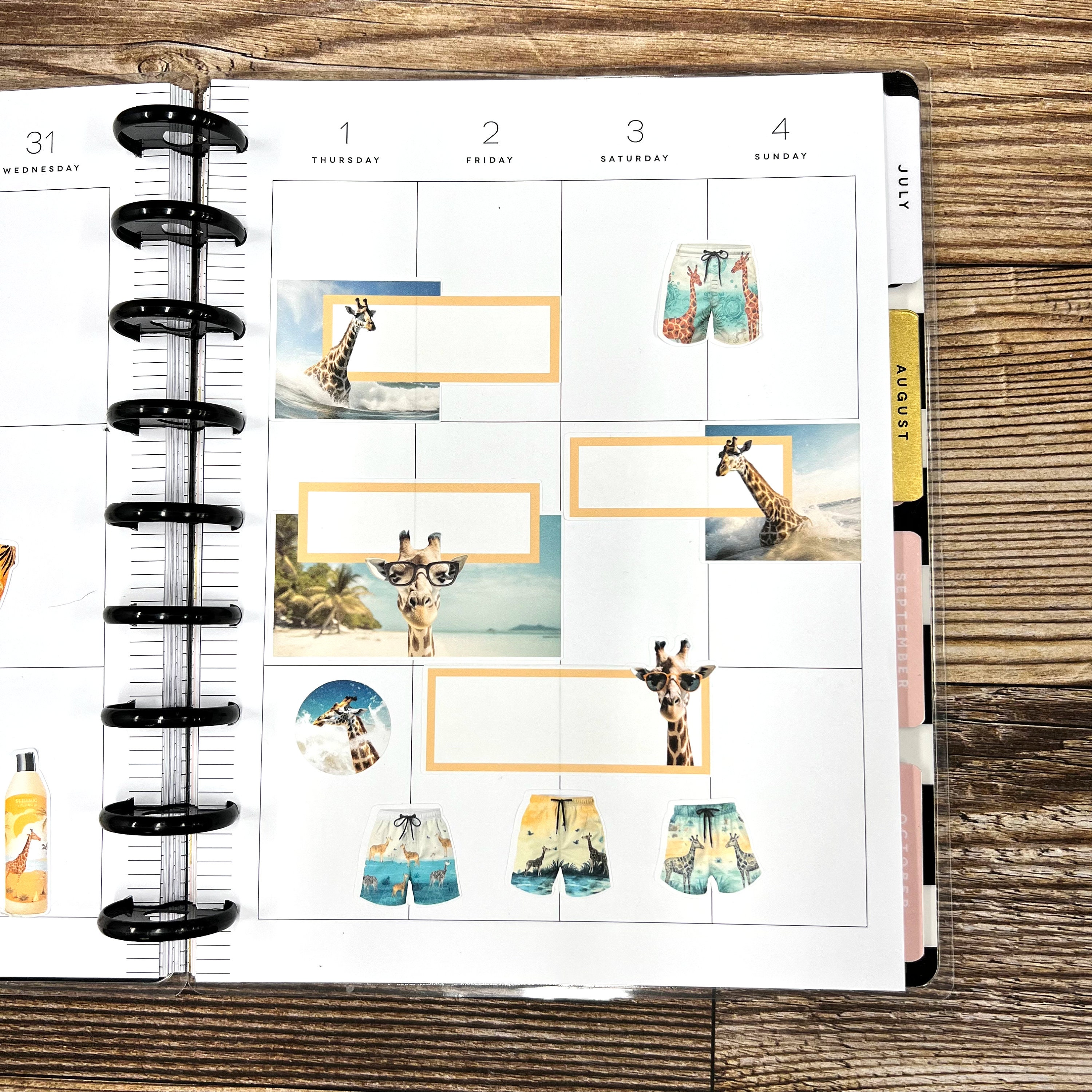 SURFING GIRAFFES Planner Boxes for Happy Planners, Journals, Scrapbooks ...