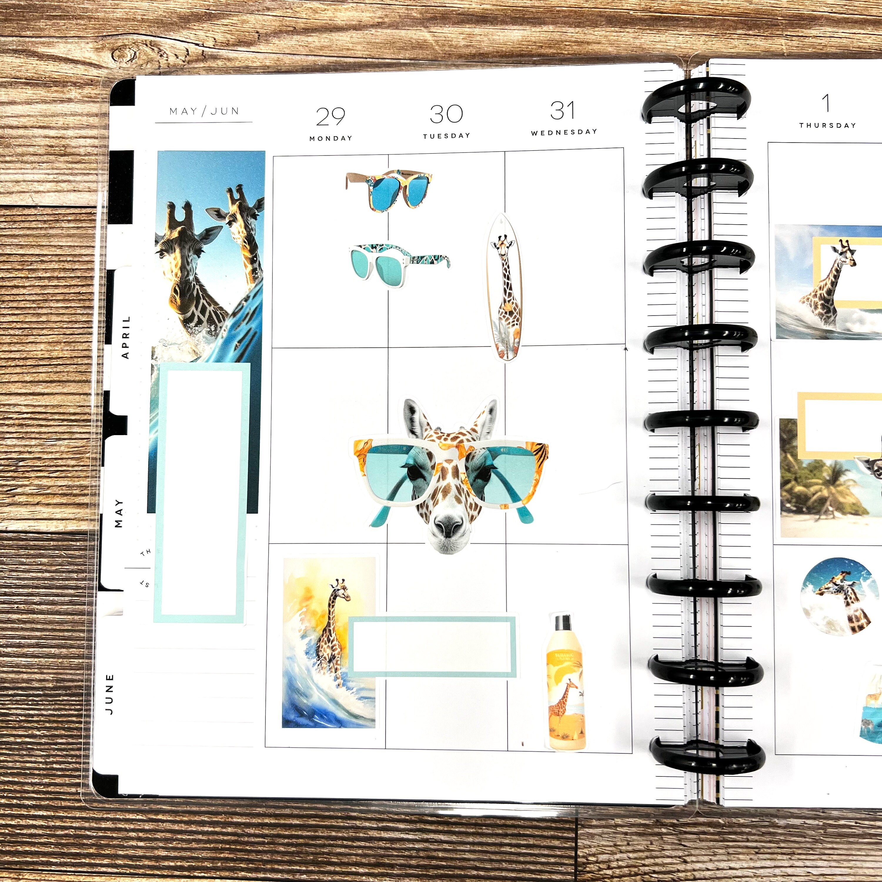 SURFING GIRAFFES Planner Boxes for Happy Planners, Journals, Scrapbooks ...