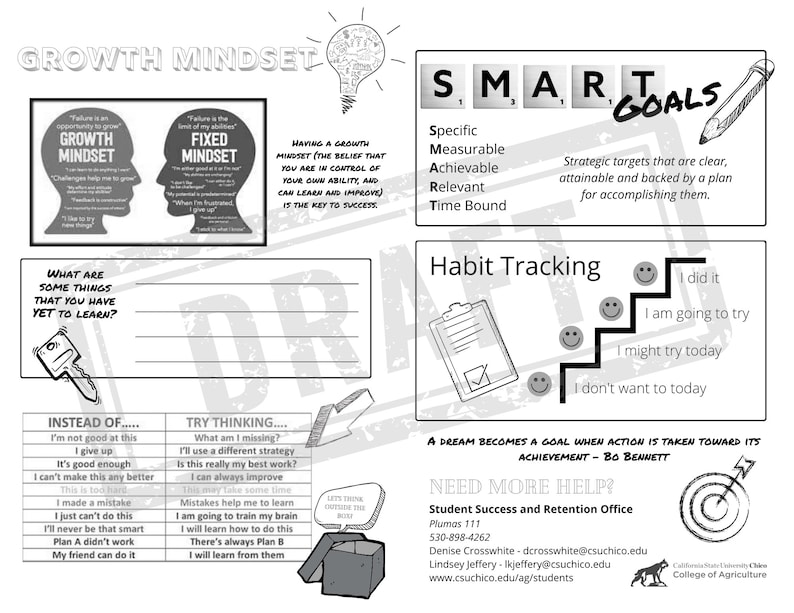 Goal Setting Handout for High School or College - Etsy