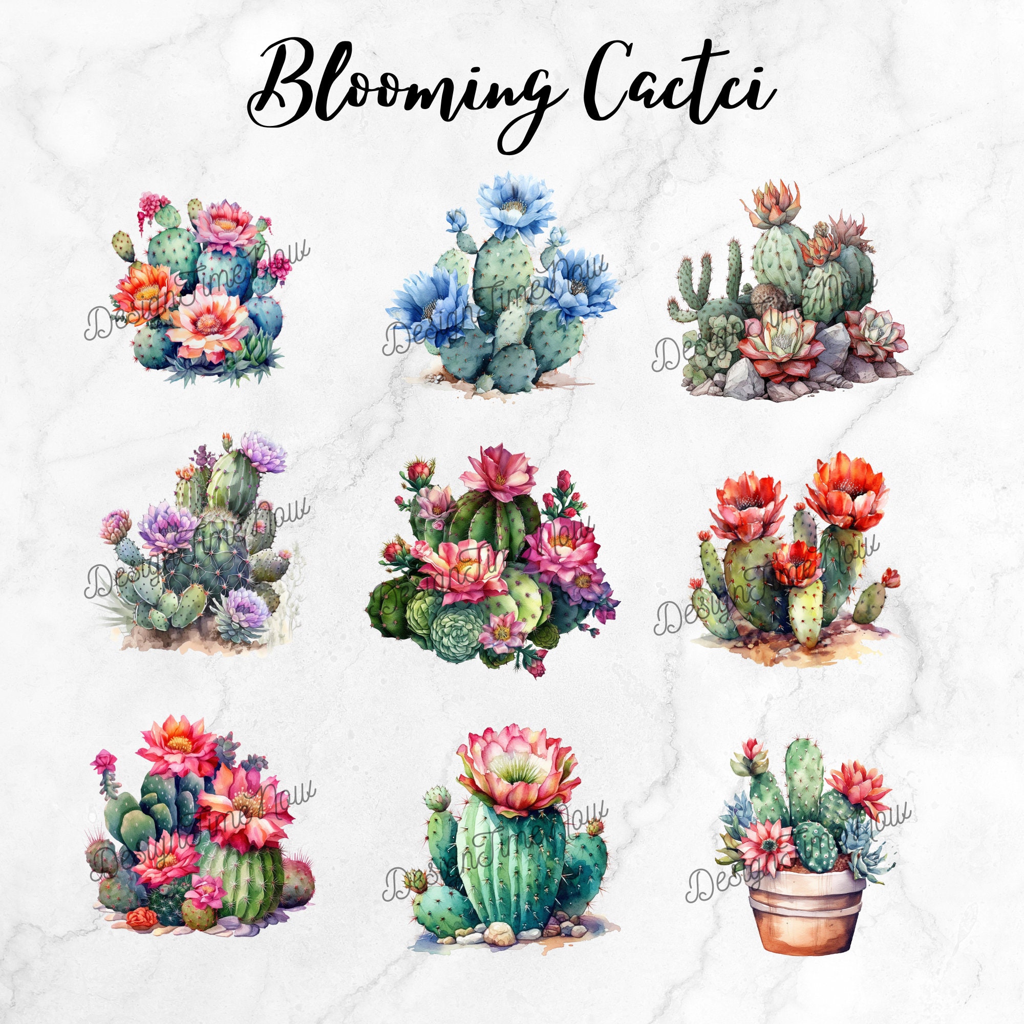 Watercolor Blooming Cactus Clipart | Digital Download | Succulent Clip ...