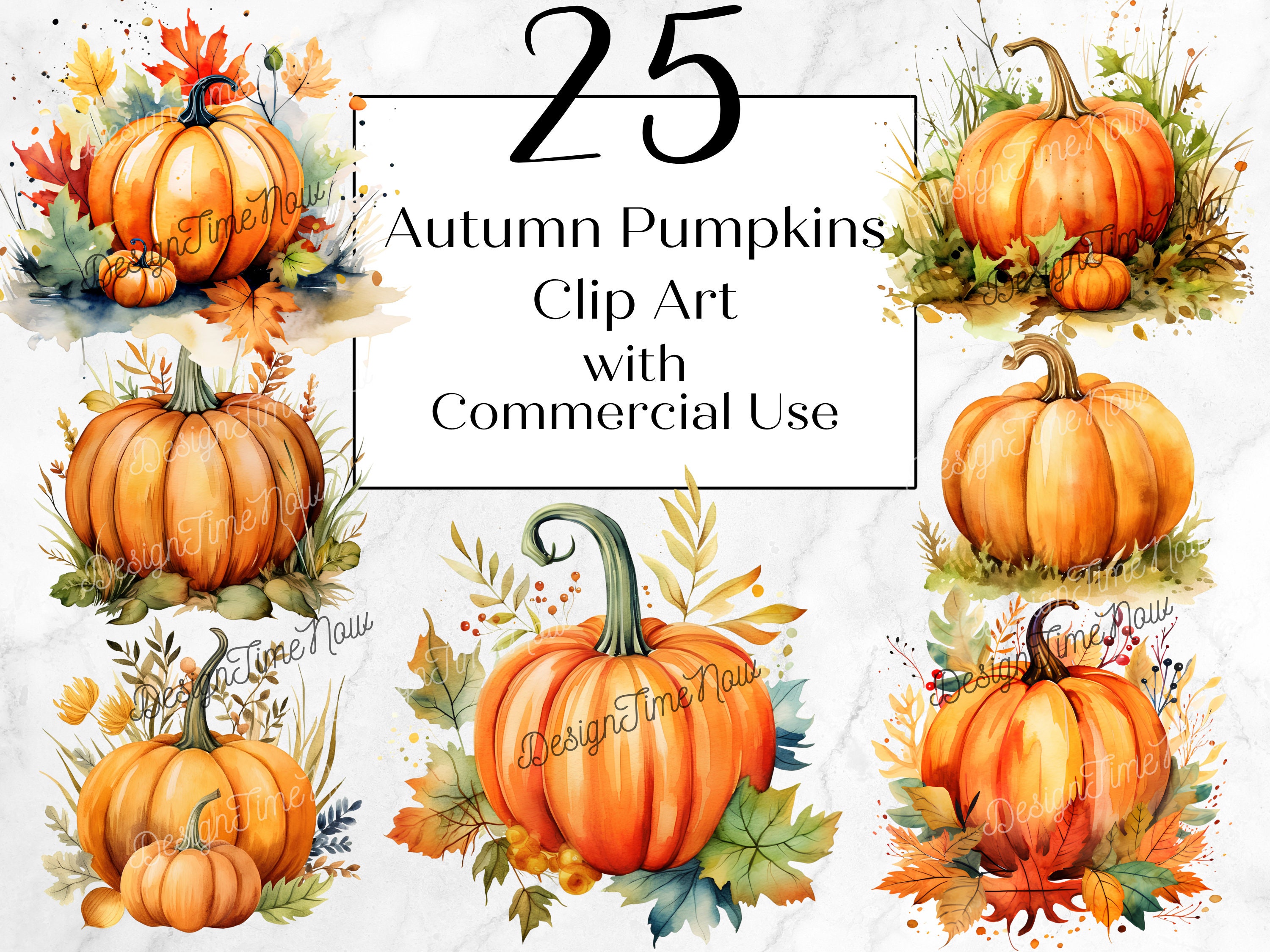 Autumn Pumpkins PNG Clipart, Commercial Use, Great for Wedding ...