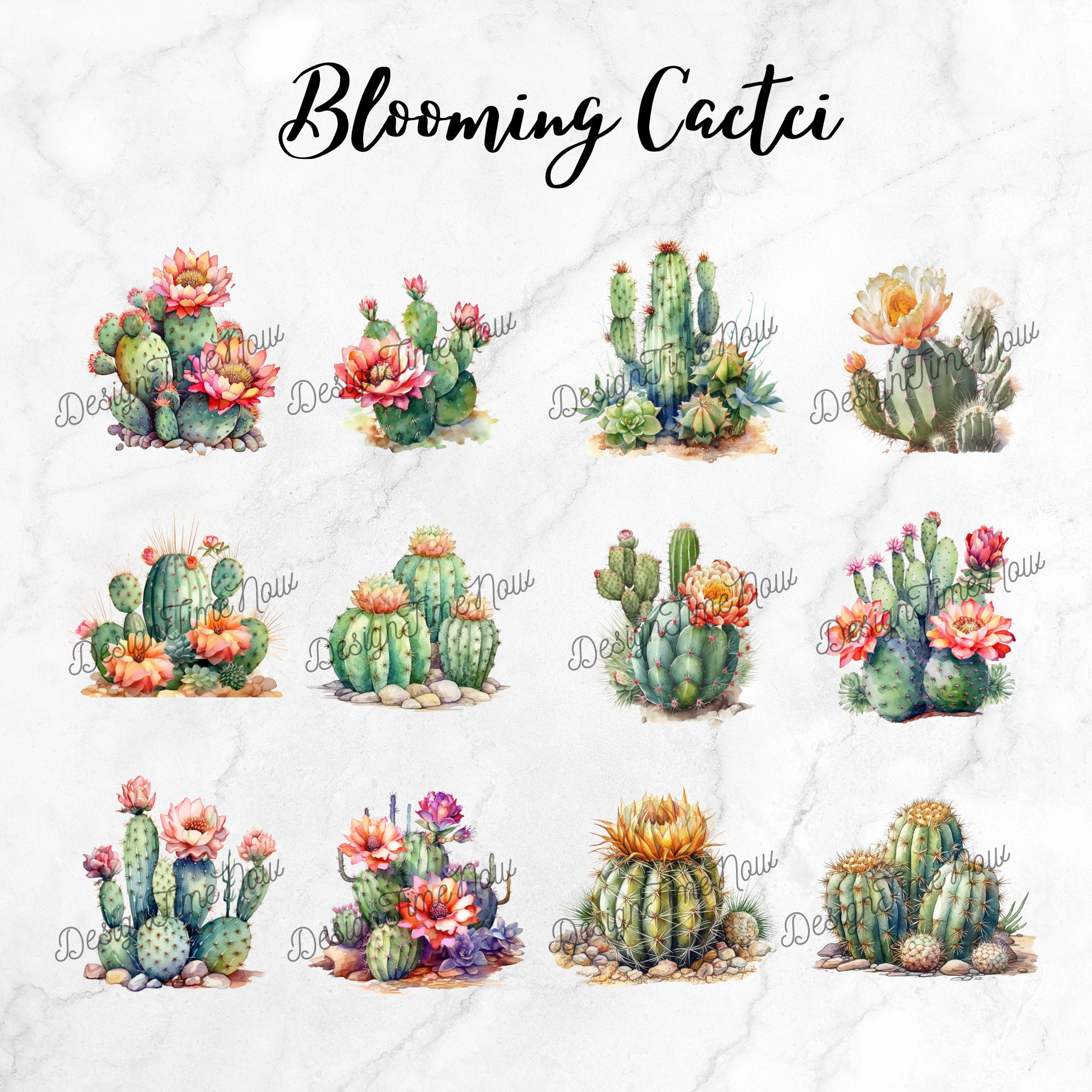 Watercolor Blooming Cactus Clipart | Digital Download | Succulent Clip ...