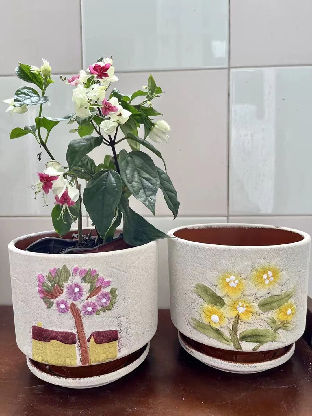 Ceramic Flower Pots, Raised Patterns, Indoor Flowers, Green Plants ...