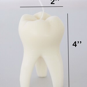 Tooth Candle | Dentist Gift | Gothic Candle | Dental Student - Etsy