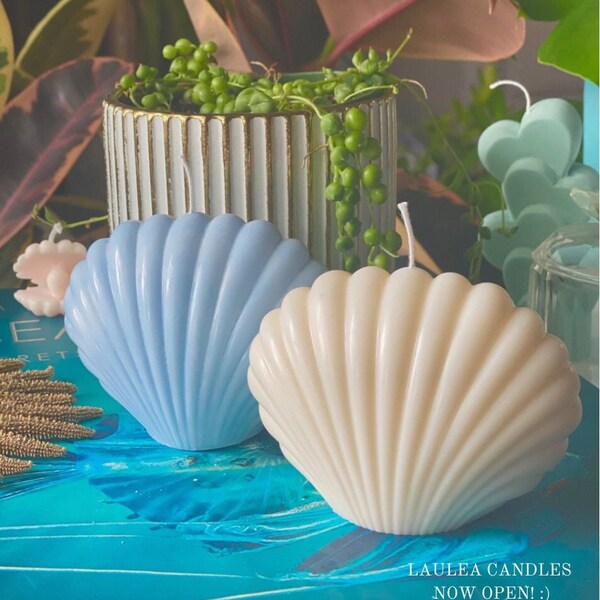 Seashell Candle - Etsy