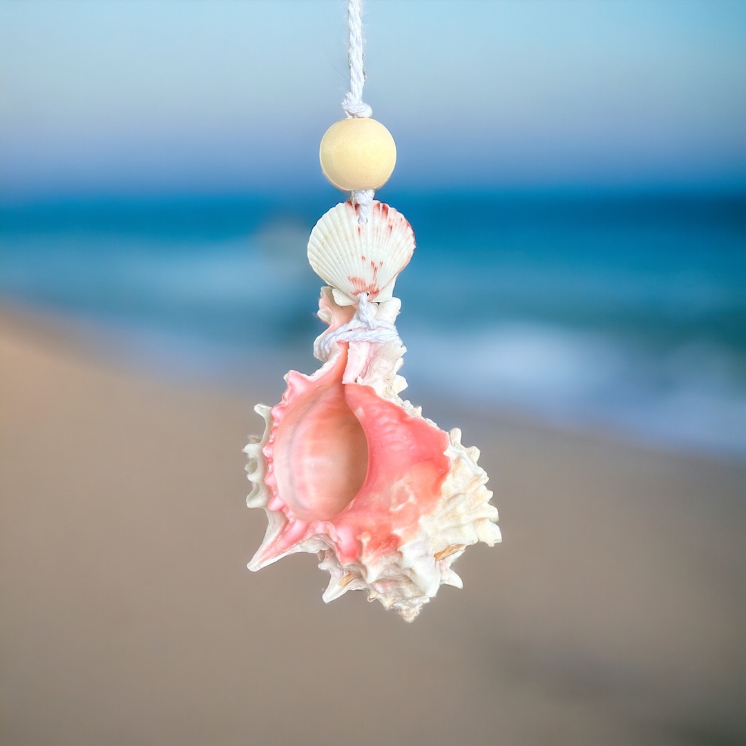 Pink Murex Shell Car Charm Diffuser: Beach Rear View Mirror Accessory ...