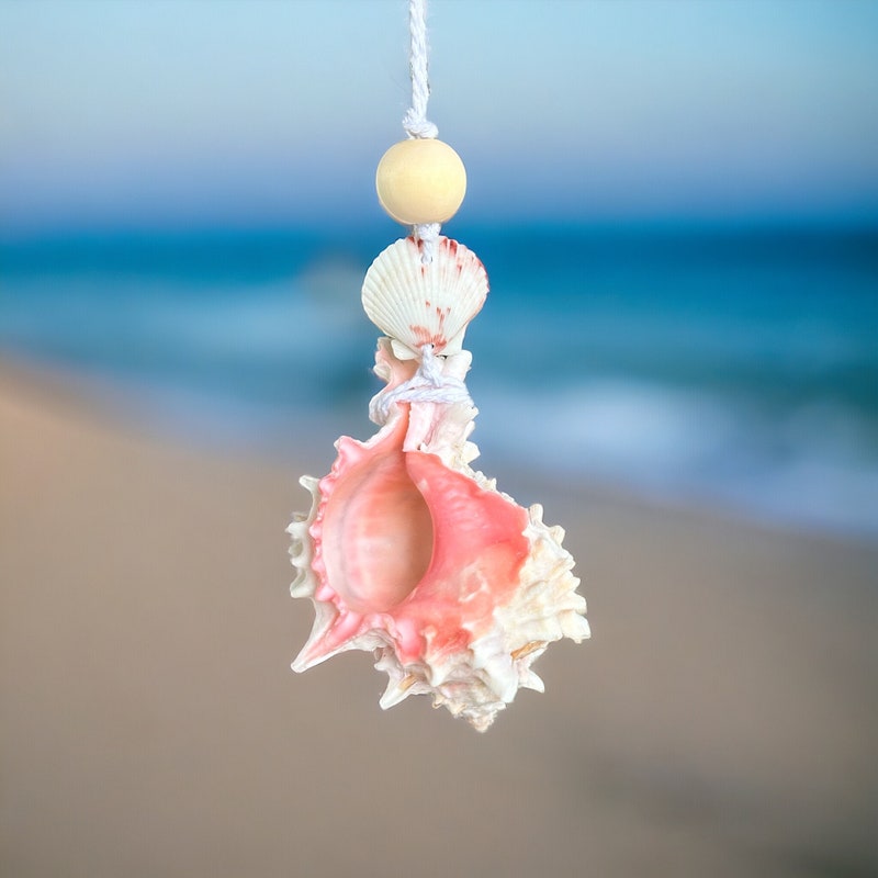 Coastal Sea Shell Car Charm - Etsy