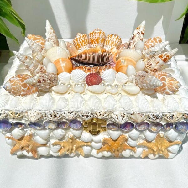 Seashell Box - Etsy