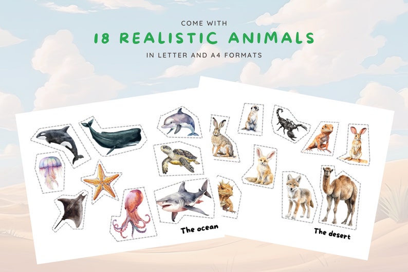 Animal Habitat Game, Matching Game for Toddlers, Ocean and Desert Biome ...