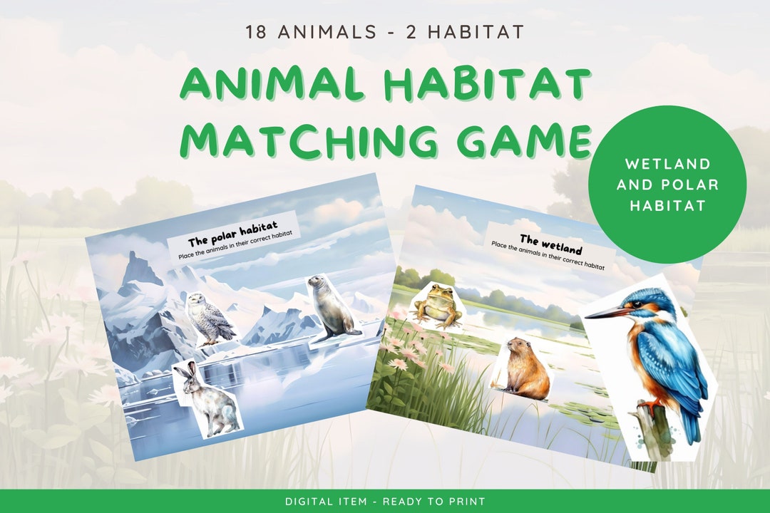 Animal Habitat Game, Matching Game for Toddlers, Wetland and Polar ...