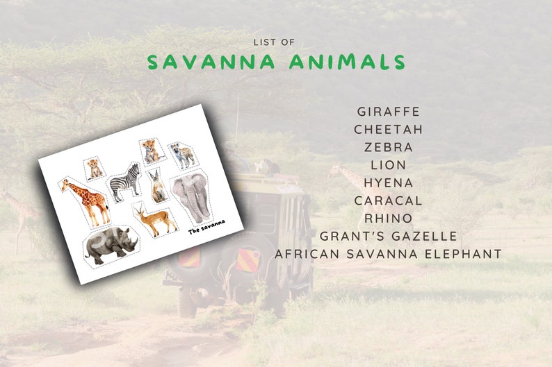 Animal Habitat Game, Matching Game for Toddlers, Forest and Savanna ...