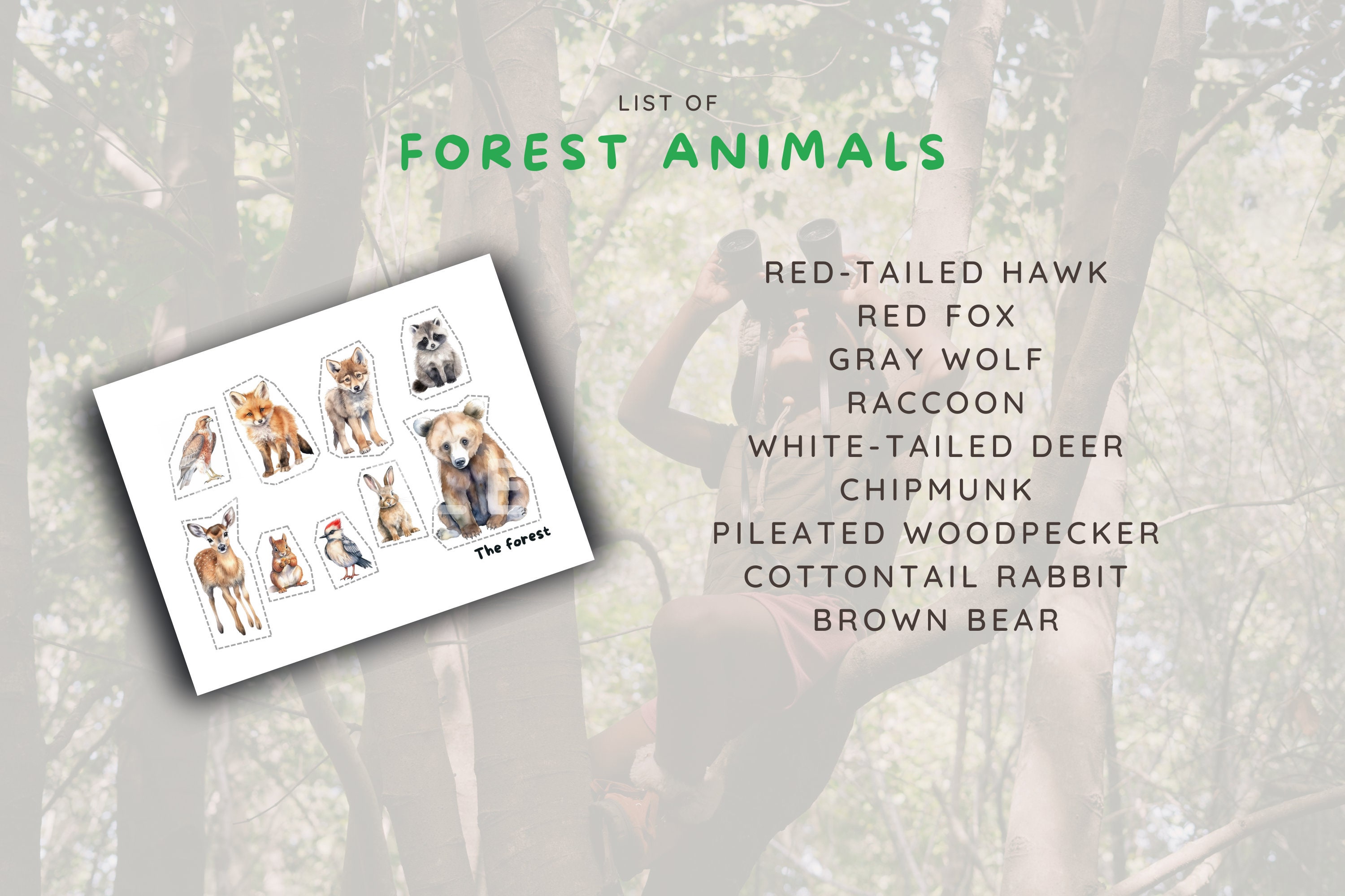 Animal Habitat Game, Matching Game for Toddlers, Forest and Savanna ...