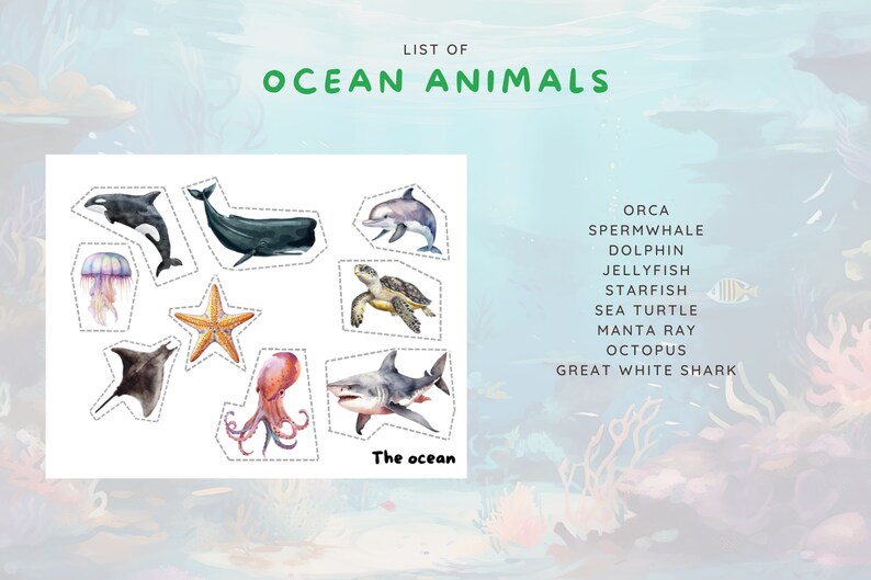 Animal Habitat Game, Matching Game for Toddlers, Ocean and Desert Biome ...