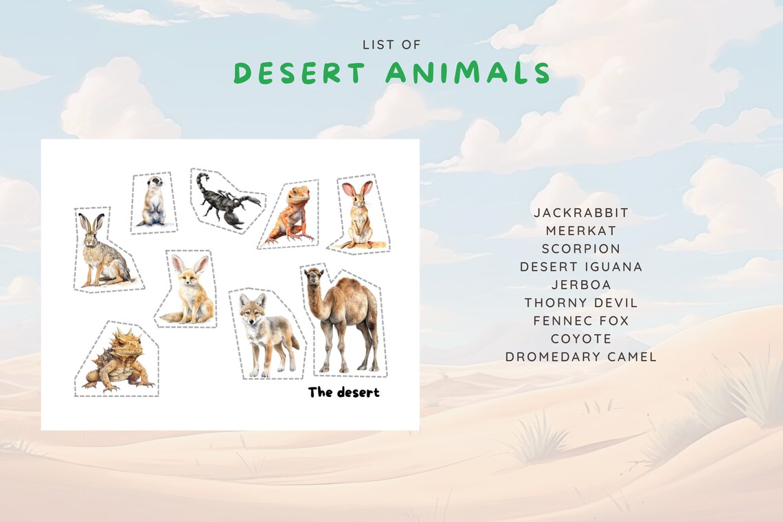 Animal Habitat Game, Matching Game for Toddlers, Ocean and Desert Biome ...