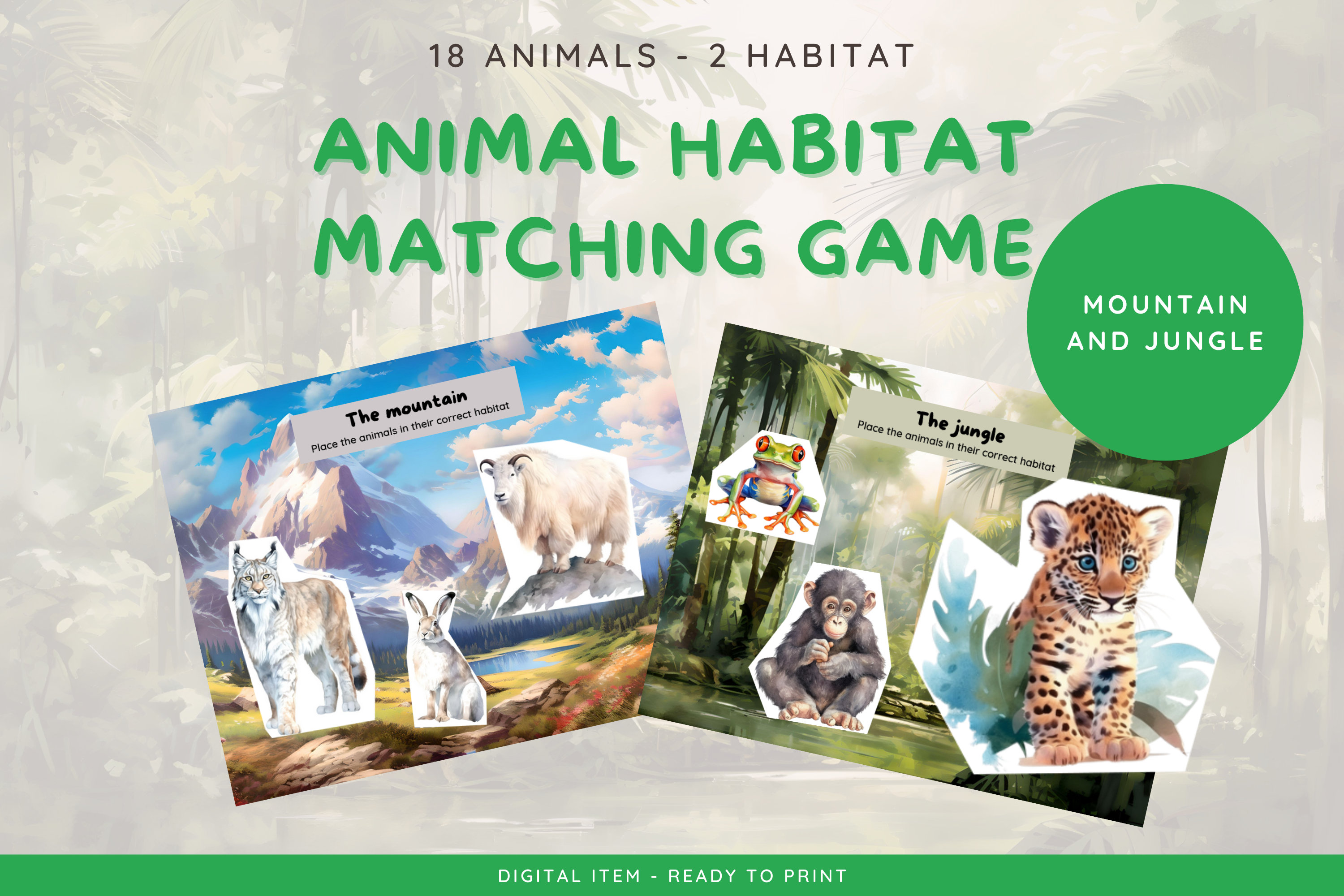 Poster Animals By Habitat