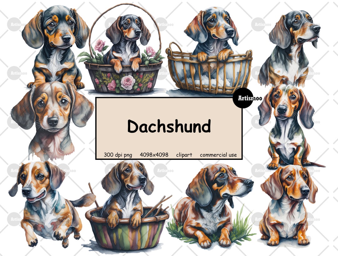 Dachshund Clipart - PNG Format Transparent Background Instant Download ...