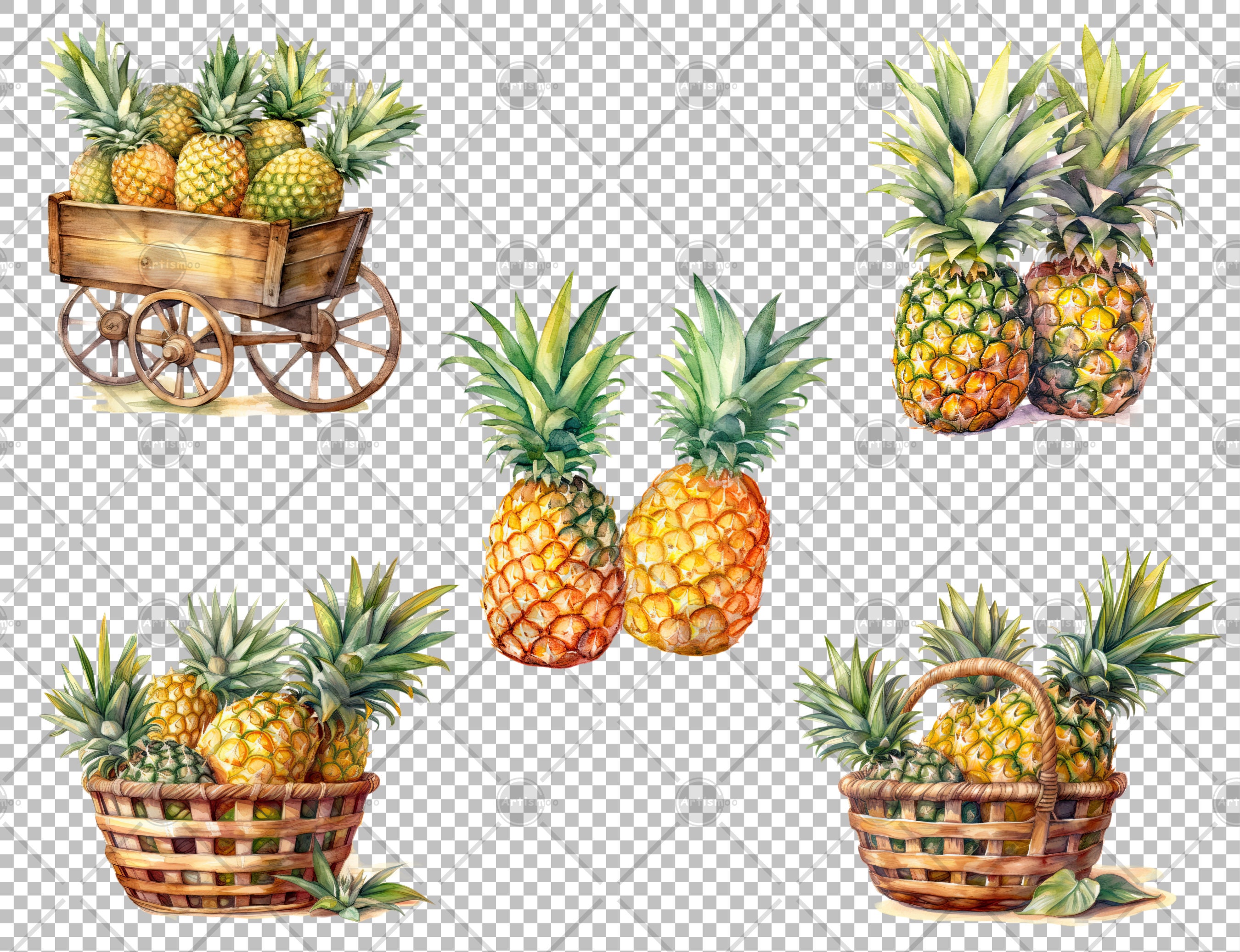 Watercolor Pineapple Clipart PNG Format Transparent - Etsy