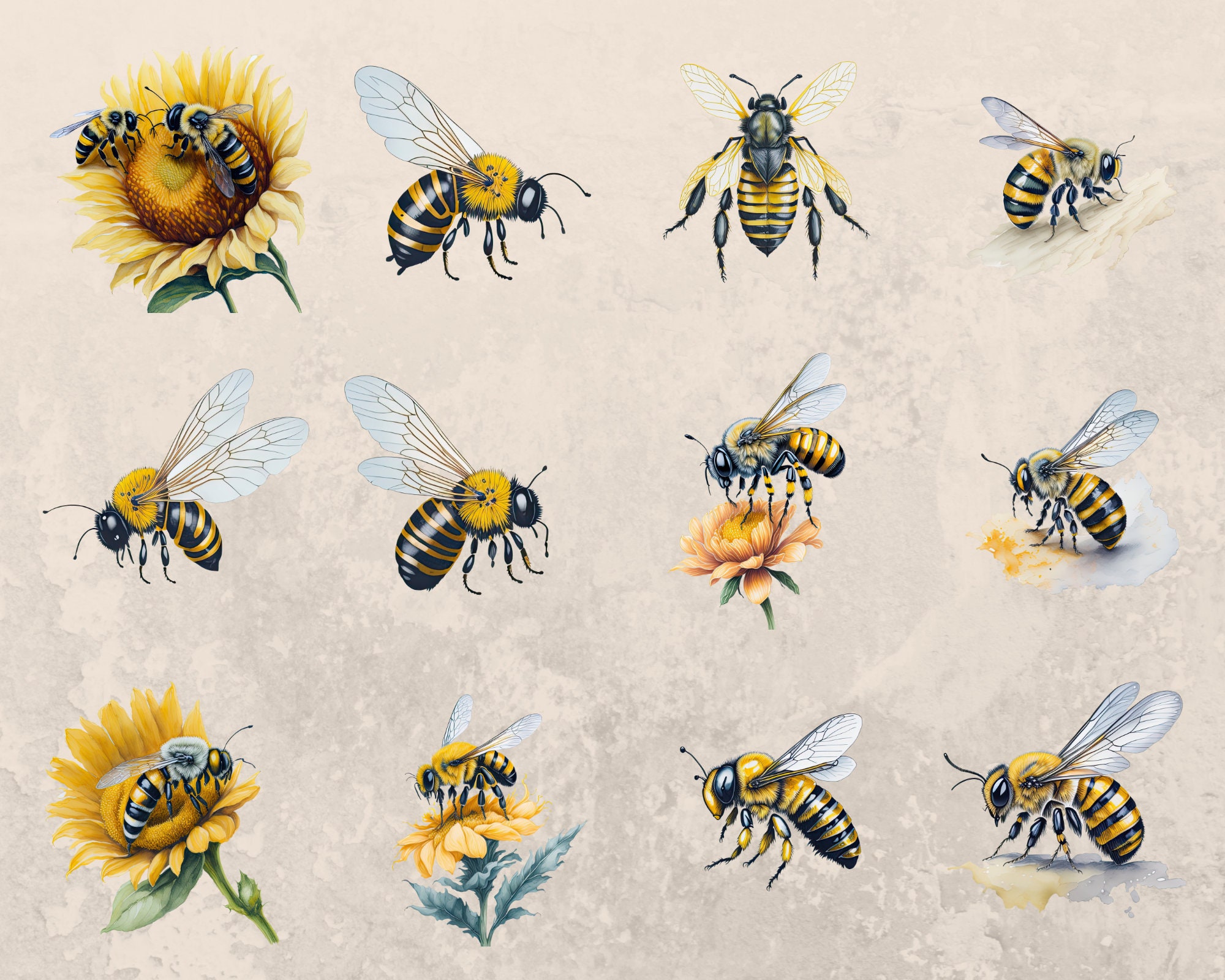 Bees Clipart PNG Format Transparent Background Instant - Etsy