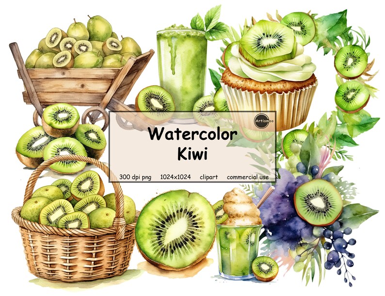 Watercolor Kiwi Clipart - PNG Format Transparent Background Instant ...