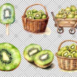 Watercolor Kiwi Clipart - PNG Format Transparent Background Instant ...