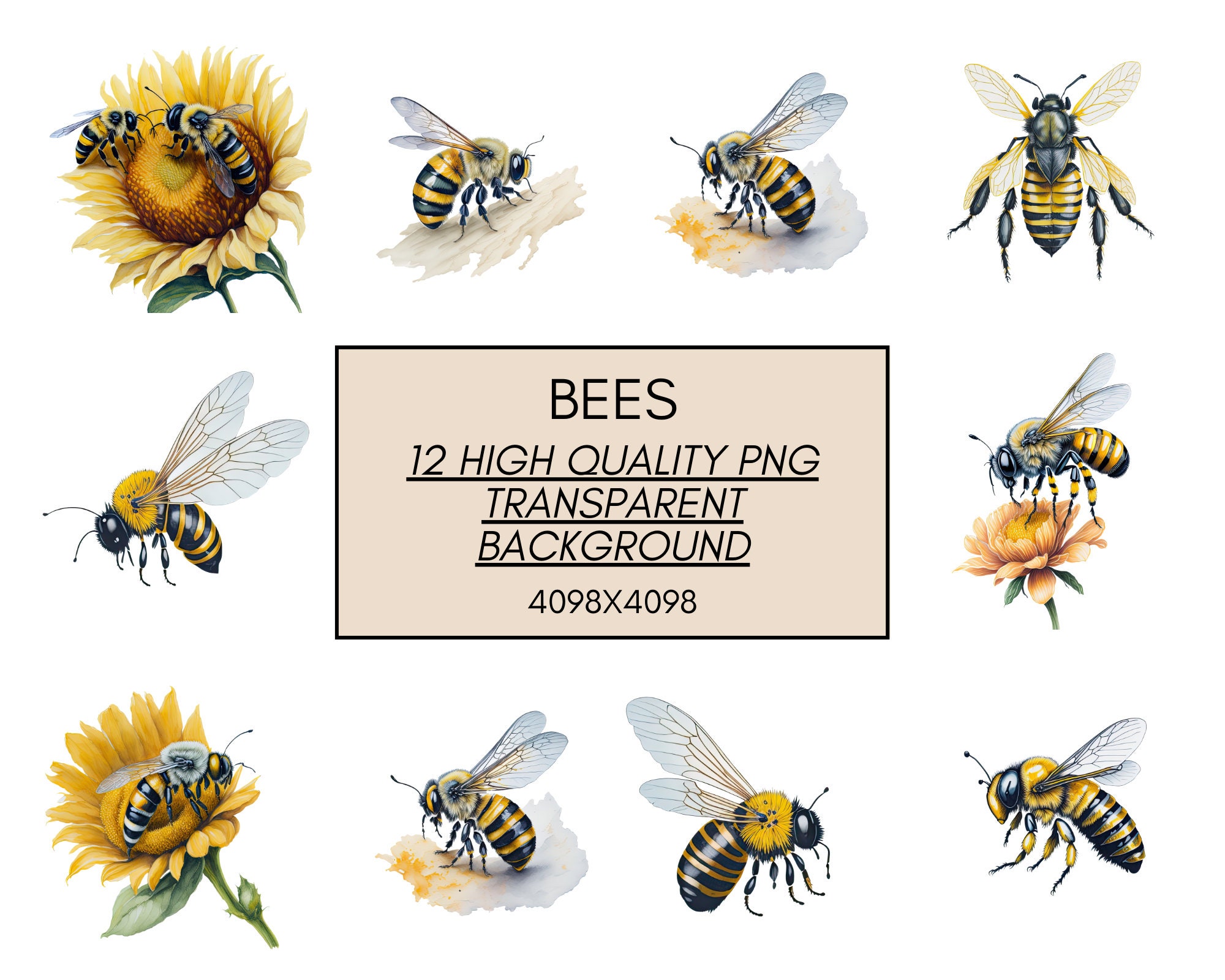 Bees Clipart PNG Format Transparent Background Instant - Etsy