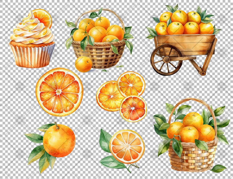 Watercolor Oranges Clipart – PNG Format Transparent Background Instant ...