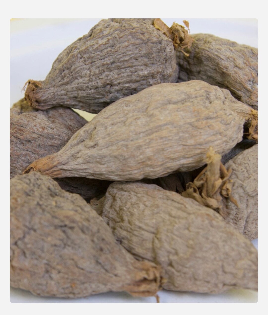 Dry Alligator Pepper.6pieces . - Etsy