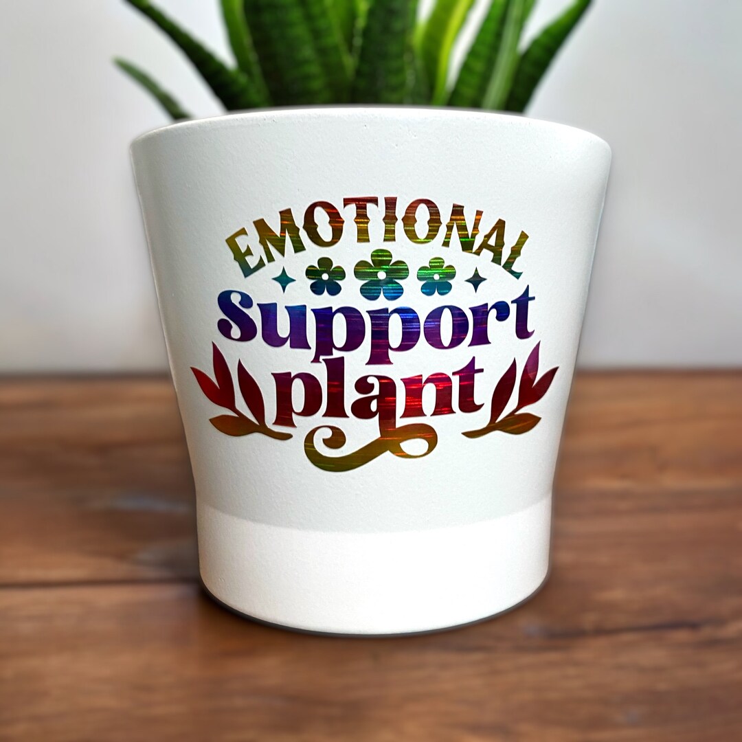 Plant Puns, Planter Pots, Herb Pots, Funny Planters, Plant Humor ...