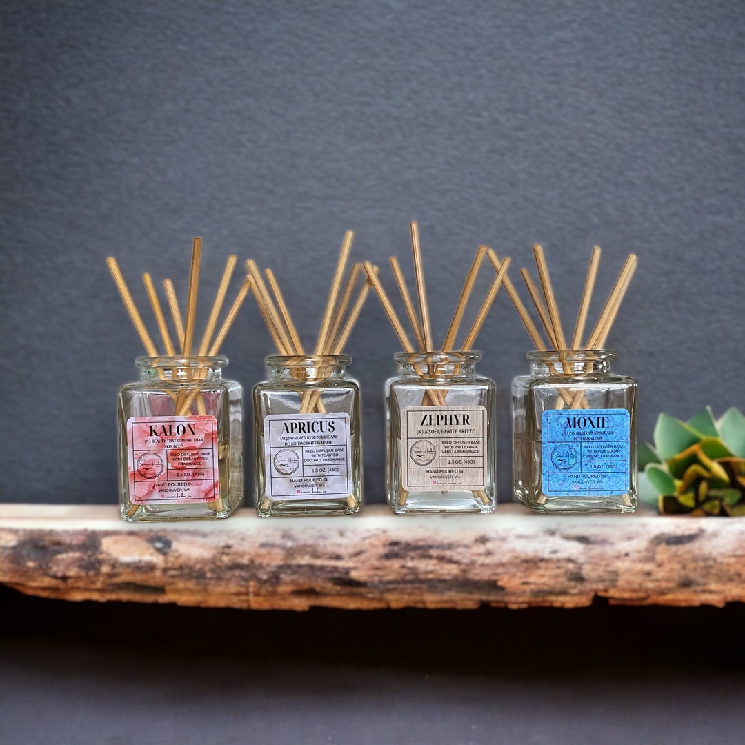 Mini Reed Diffuser, Scented Reed Diffuser, Natural Reed Diffuser, Room ...