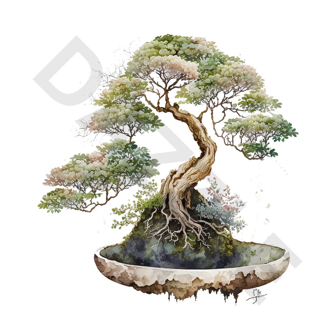 Watercolor Bonsai Tree Clipart - Bonsai Tree Clipart - Premade Event ...