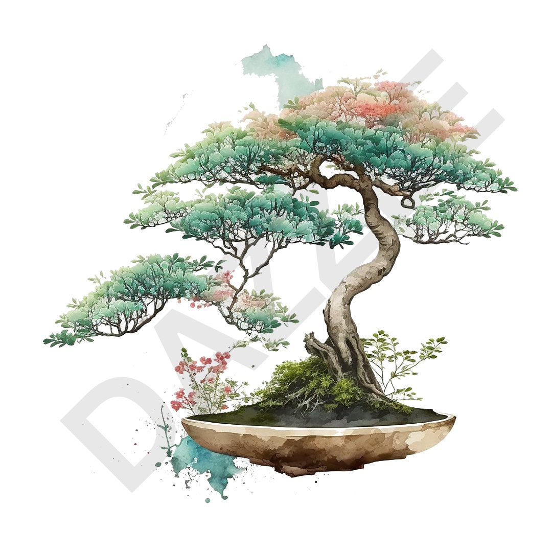 Watercolor Bonsai Tree Clipart - Bonsai Tree Clipart - Premade Event ...