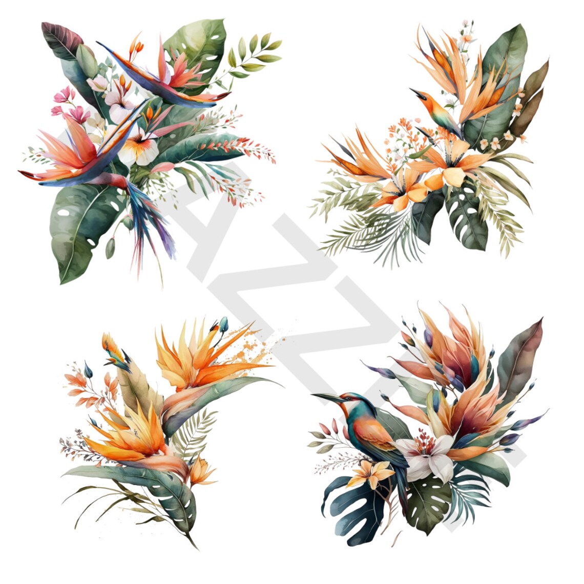 Watercolor Bird's of Paradise Floral Clipart Tropical - Etsy