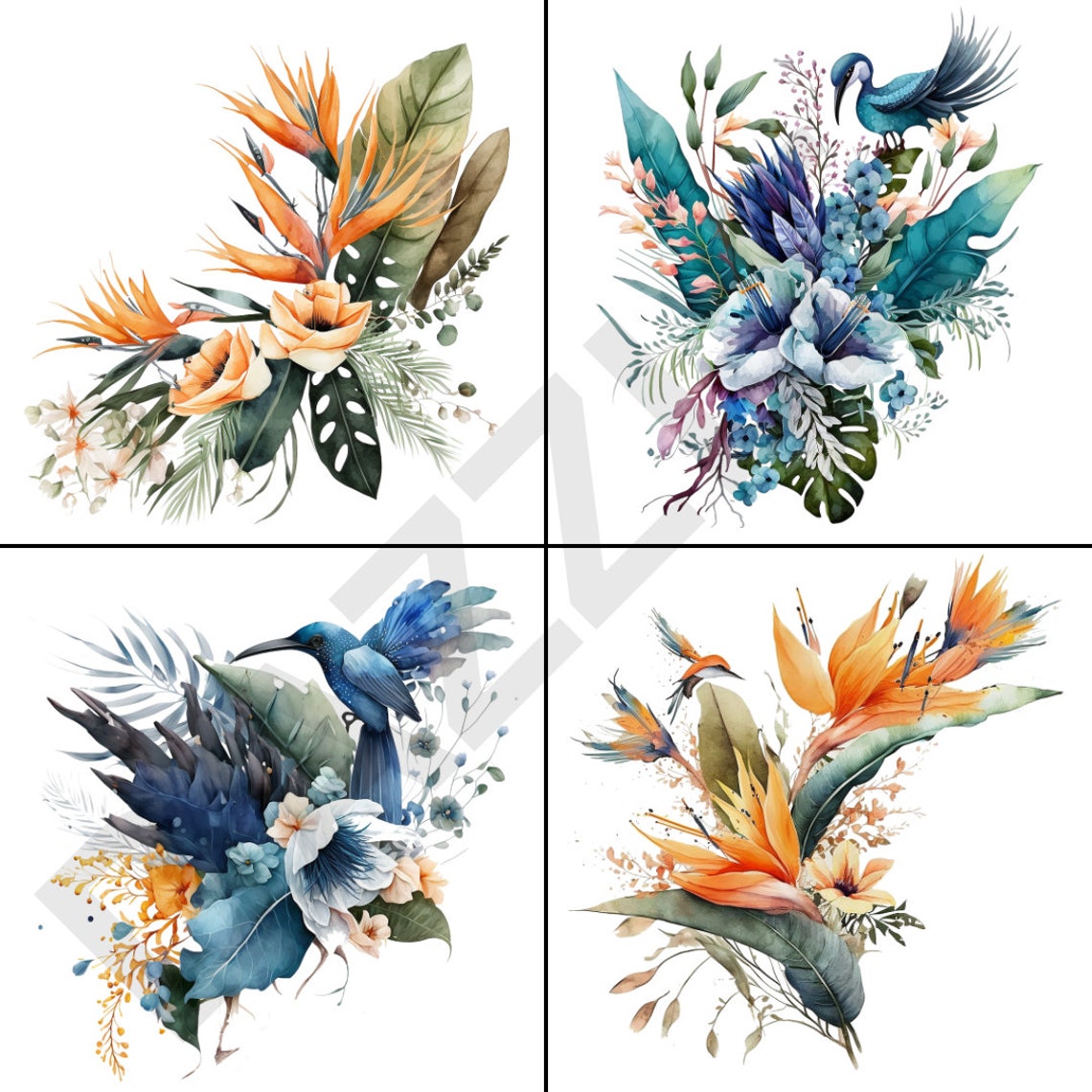 Watercolor Bird's of Paradise Floral Clipart - Tropical Bird's of ...