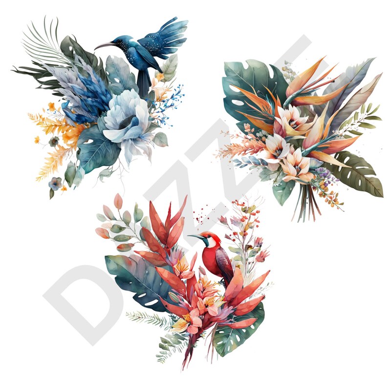 Watercolor Bird's of Paradise Floral Clipart - Tropical Bird's of ...