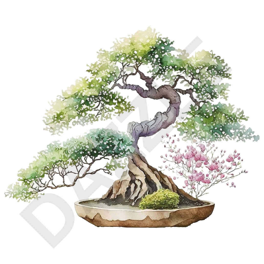 Watercolor Bonsai Tree Clipart - Bonsai Tree Clipart - Premade Event ...