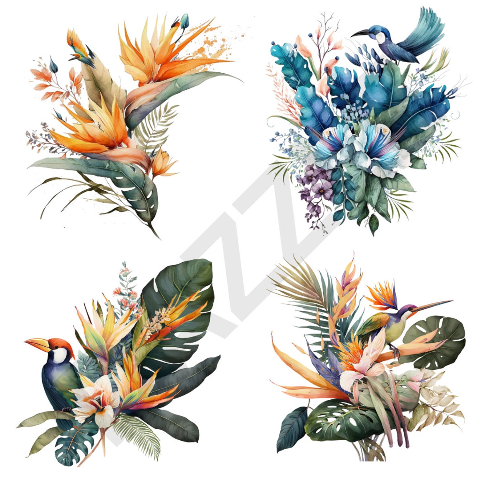 Watercolor Bird's of Paradise Floral Clipart Tropical - Etsy