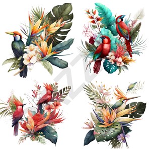 Watercolor Bird's of Paradise Floral Clipart Tropical - Etsy