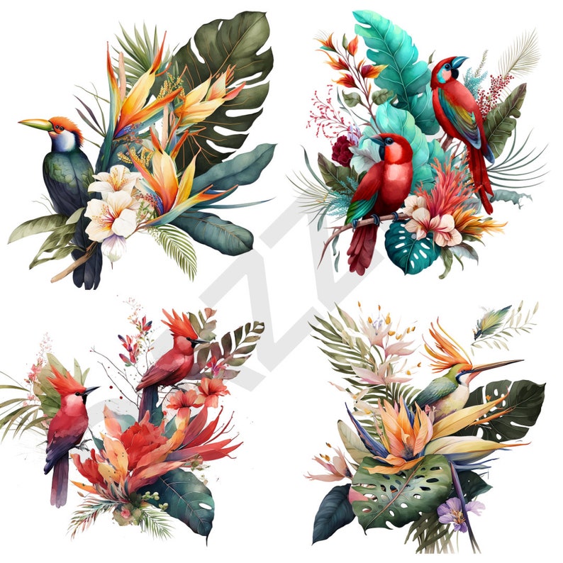 Watercolor Bird's of Paradise Floral Clipart Tropical - Etsy