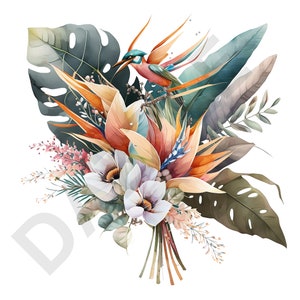 Watercolor Bird's of Paradise Floral Clipart - Tropical Bird's of ...