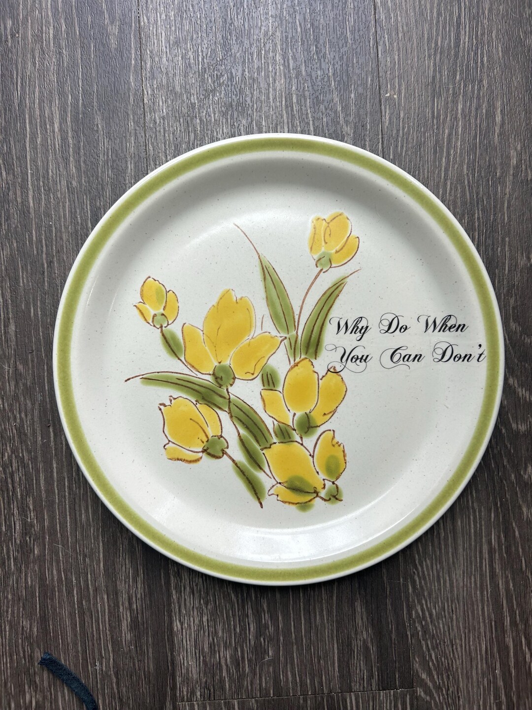 Vintage Plate Why Do When You Can Dont Sassy Swear Words China Plates ...