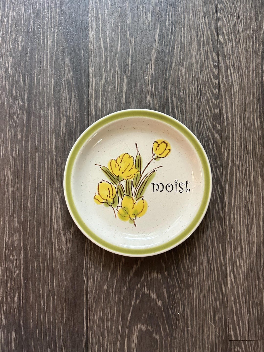 Vintage Plate MOIST. Sassy Swear Words China Plates - Etsy