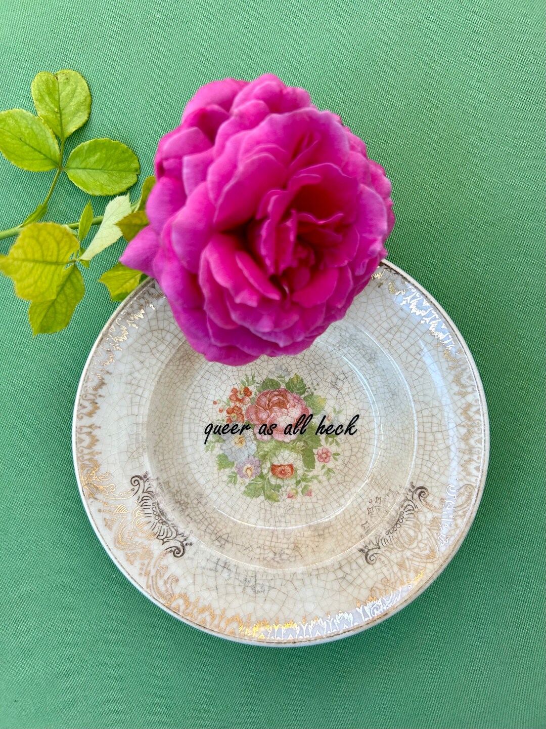 Vintage Bowl Queer as All Heck Sassy Swear Words China Plates - Etsy