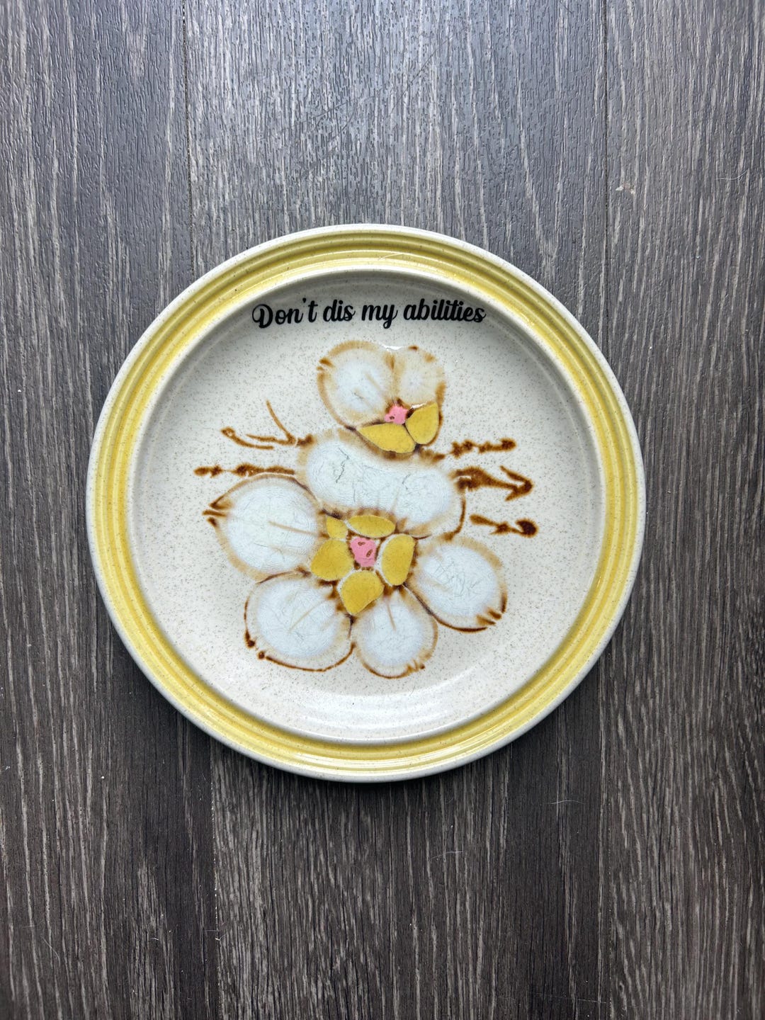 Vintage Plate Dont Dis My Abilities Sassy Swear Words China Plates - Etsy