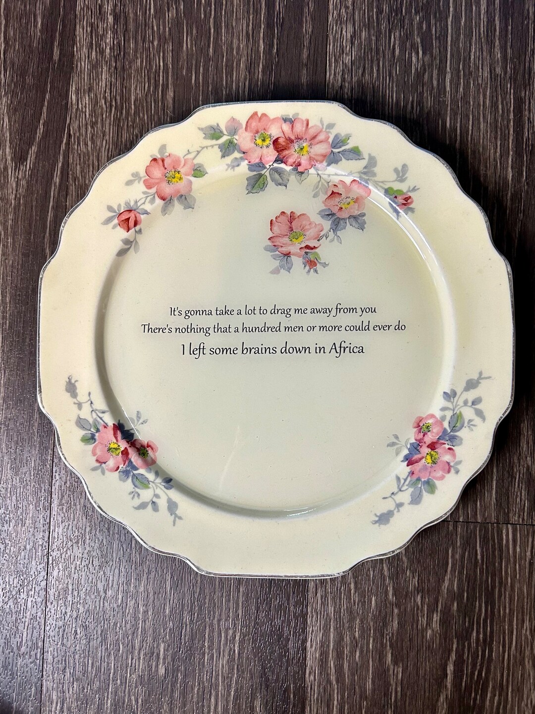 Vintage Plate Totos AFRICA Misheard Song Lyrics Sassy Swear Words China ...