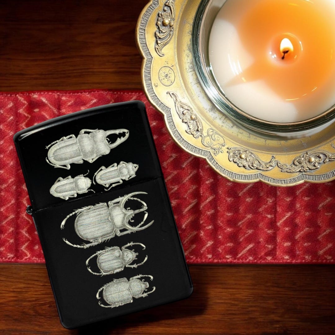 Stag Beetle Zippo Style Refillable Lighter | Vintage Insect Design ...