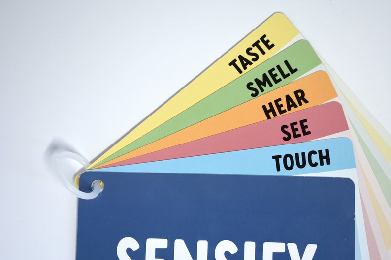 Color Sensory Box - Etsy
